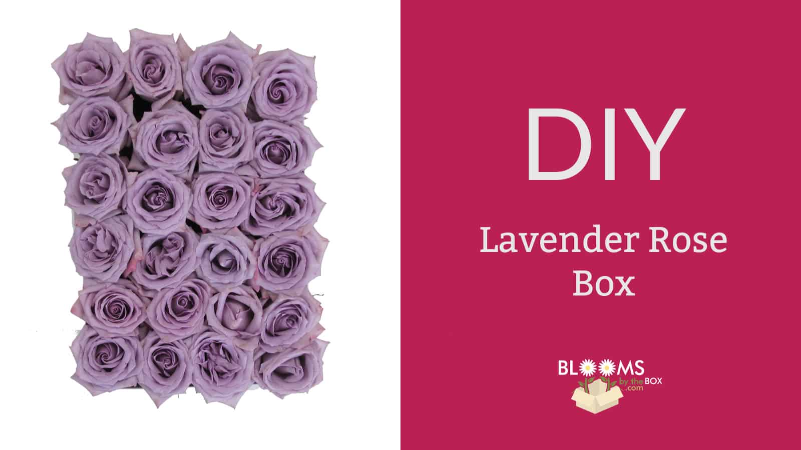 DIY Lavender Rose Box - Blooms By The Box