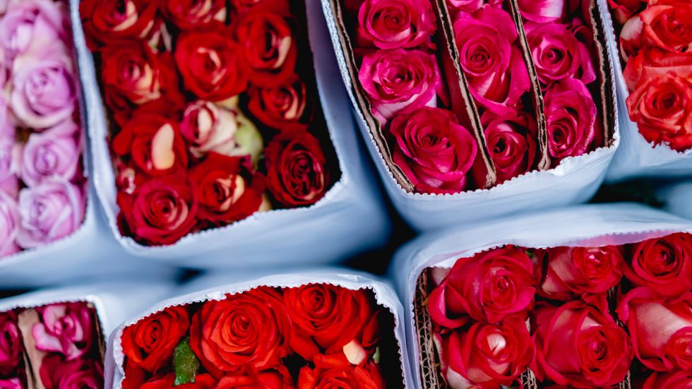 Best Valentine's Day Flowers - Blooms By The Box