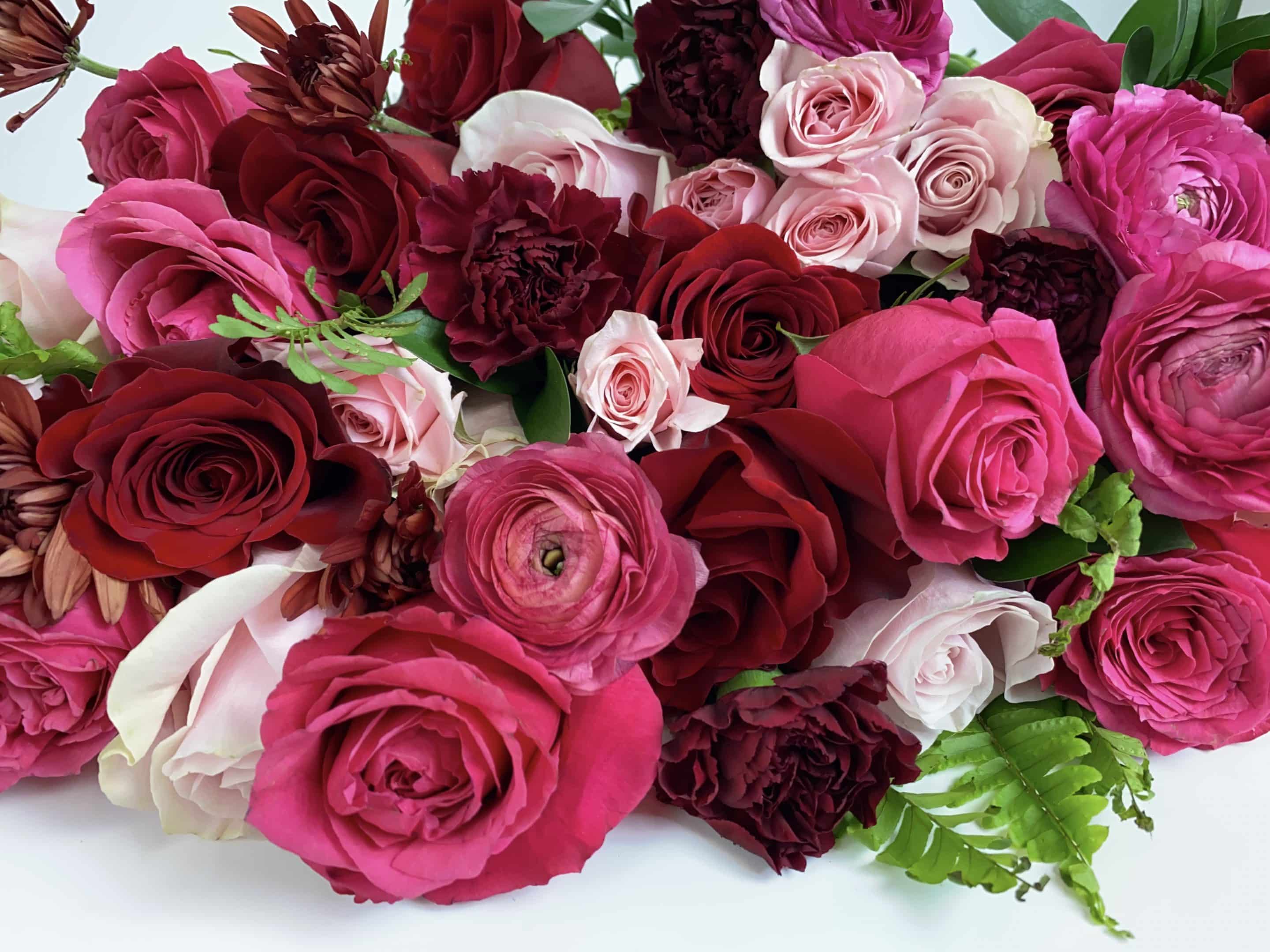 Pantone Color 2023 Viva Magenta Blooms By The Box