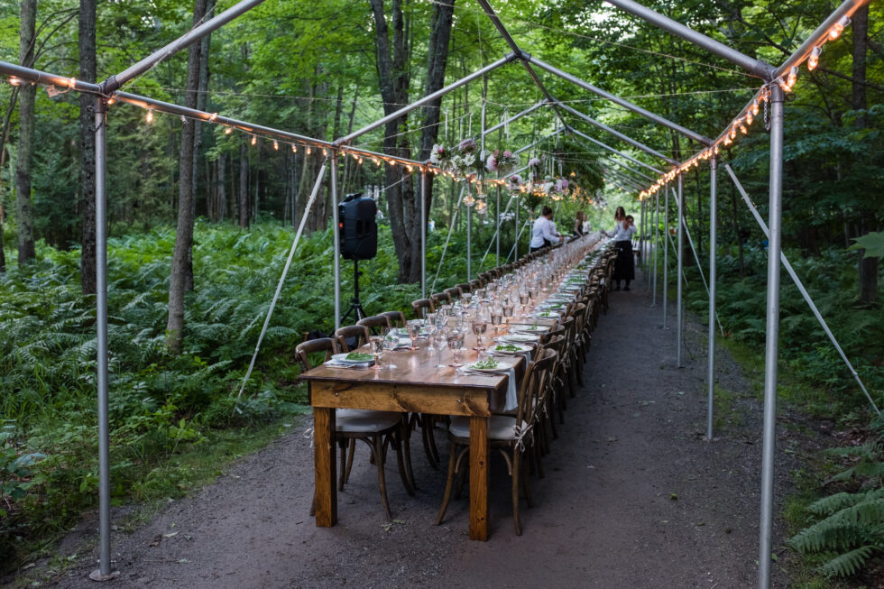 Best DIY Flowers for Outside Wedding - Blooms By The Box