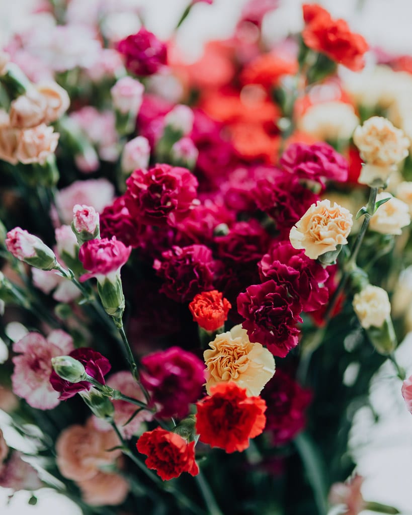 Blooms Blog for DIY Wedding Flowers and Wholesale Flower Ideas