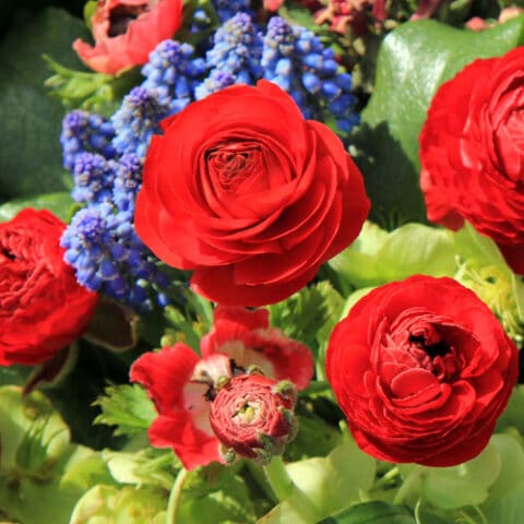 Trending: Summer Flowers - Blooms By The Box