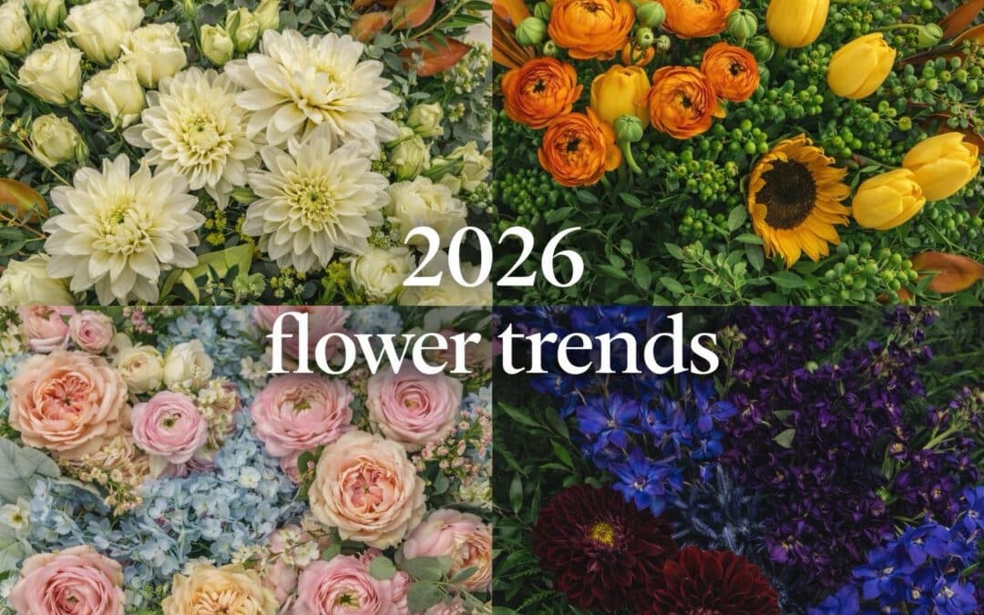 2026 Flower Trend Forecast - Blooms By The Box