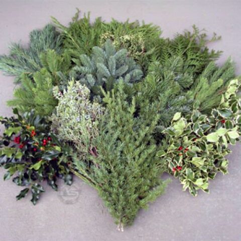 Holiday Greens & Wreaths - Blooms By The Box