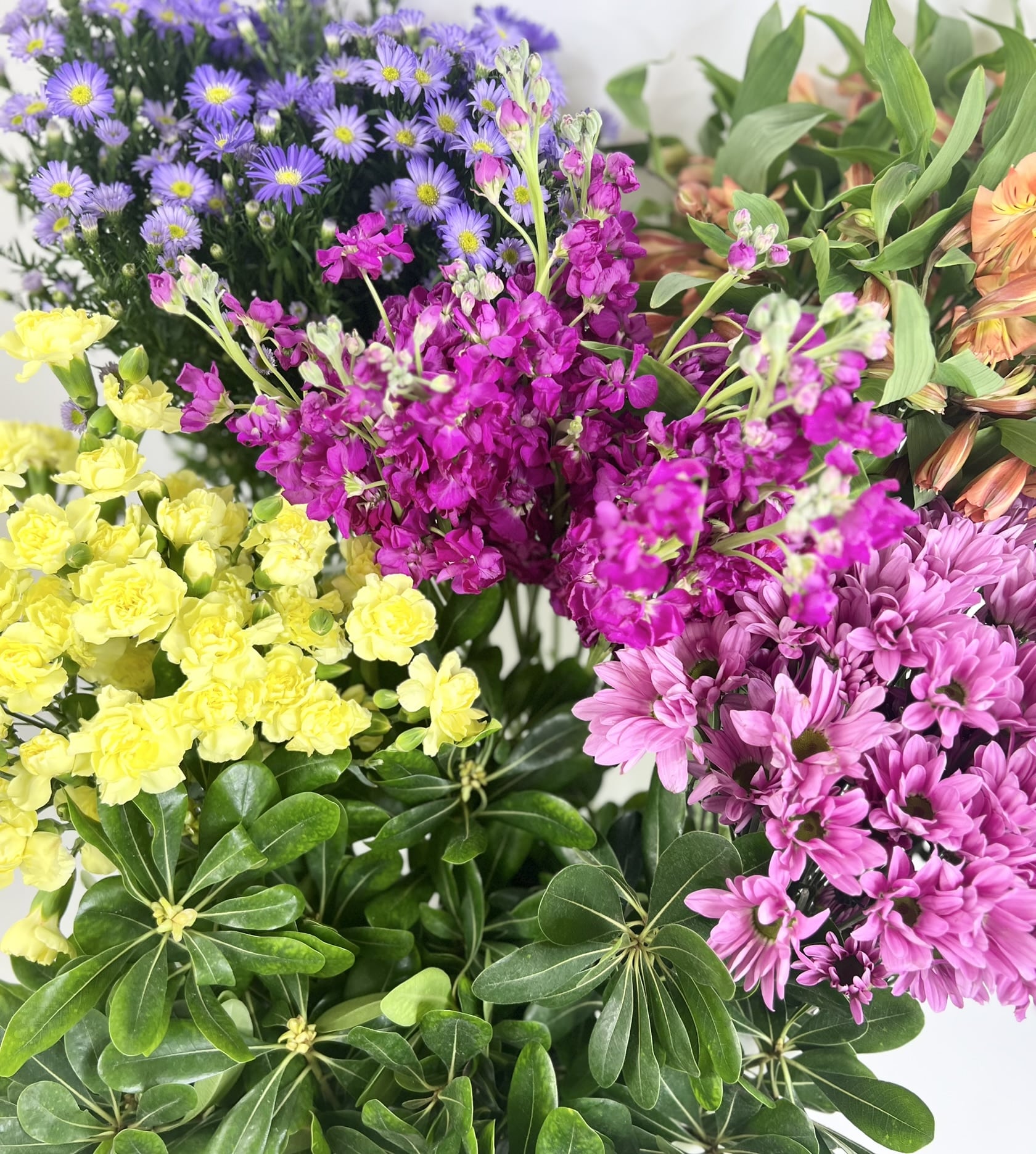 How to Keep Flowers Fresh - Blooms By The Box