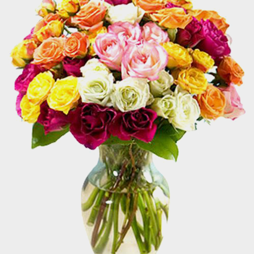 Wholesale Spray Roses Assorted Colors 50 cm - Blooms by the Box