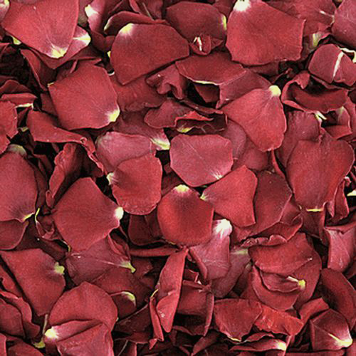 Deep Pink & Red FD Rose Petals (30 Cups) - Wholesale - Blooms By The Box