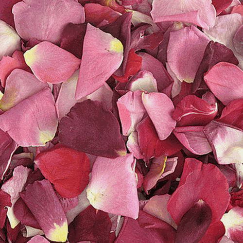 Very Berry Blend FD Rose Petals (30 Cups) - Wholesale - Blooms By The Box