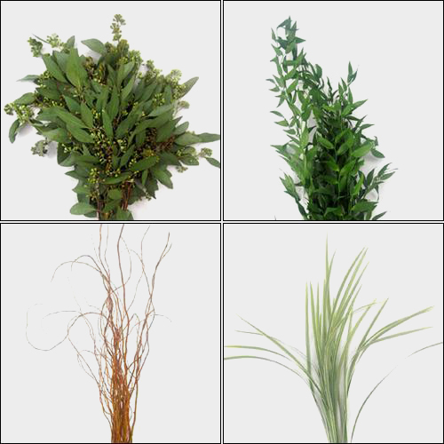 Trendy Greens Bulk Pack - Wholesale - Blooms By The Box