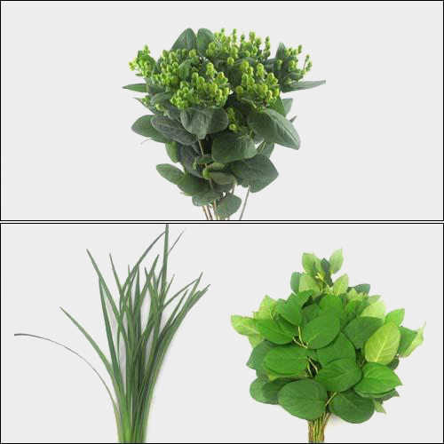 Simple Greens Bulk Pack - Mini - Wholesale - Blooms By The Box
