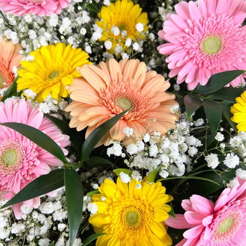 Gerber Daisy Themed Birthday Decoration Daisy Themed Party