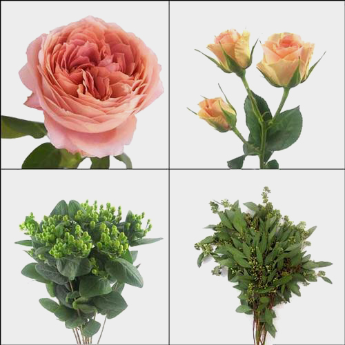 Garden Rose DIY Flower Pack - Wholesale - Blooms By The Box