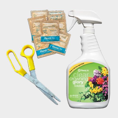 DIY Essentials Floral Supply Kit - Wholesale - Blooms By The Box