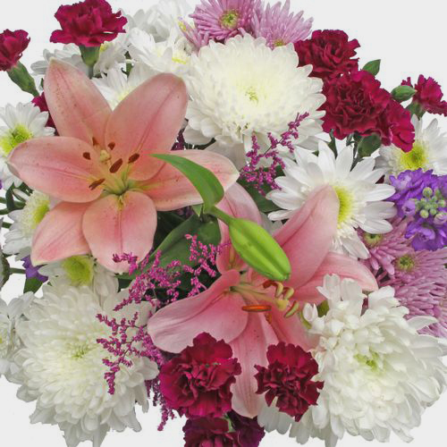 Mixed Bouquet 18 Stem - Everyday - Wholesale - Blooms By The Box