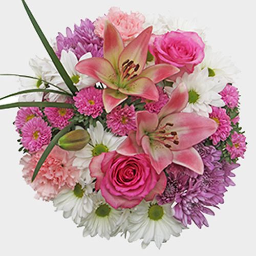 Mixed Bouquet 13 Stem - Darling - Wholesale - Blooms By The Box