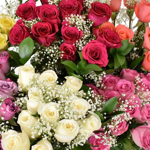 Rose Bouquet 6 Stem - Assorted Colors 50cm - Wholesale - Blooms By The Box
