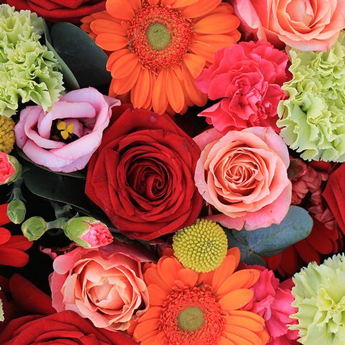 Wholesalers Choice By Color (Medium) - Wholesale - Blooms By The Box