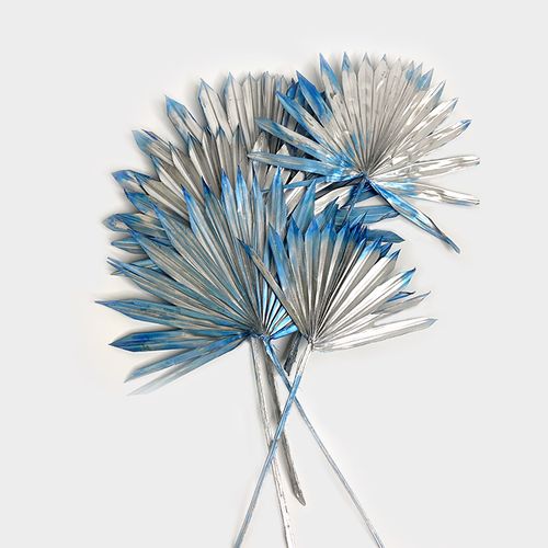 Palm Sun Blue - Wholesale - Blooms By The Box
