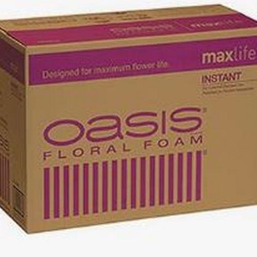 Oasis Instant Floral Foam Bricks X48 - Wholesale - Blooms By The Box