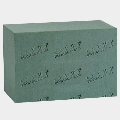 Oasis Grande Bricks X20 - Wholesale - Blooms By The Box
