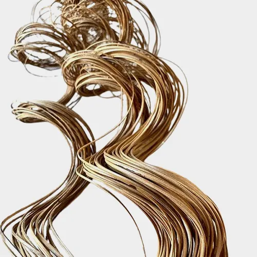 24-28" Curly Ting Ting Natural - Wholesale - Blooms By The Box