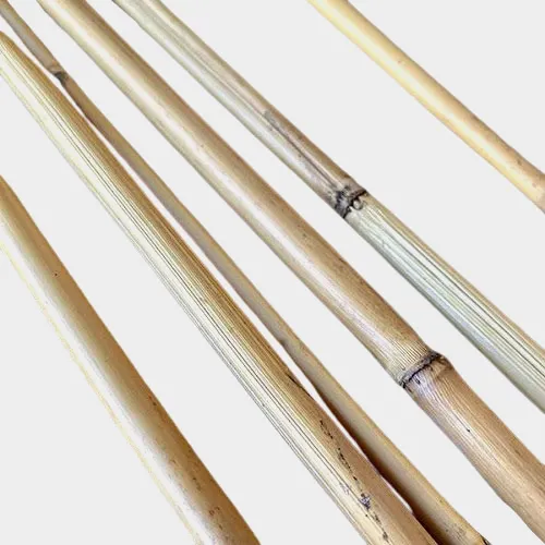 3.5' River Cane Natural (Qty 25) - Wholesale - Blooms By The Box